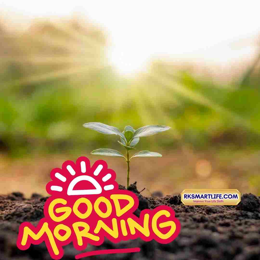 Beautifull Good Morning Images For Whatsapp